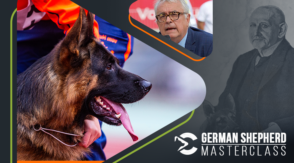 Overtyping - Canimaster