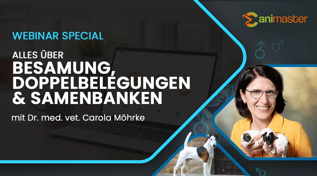 Inseminations, double inseminations, sperm banks - Canimaster