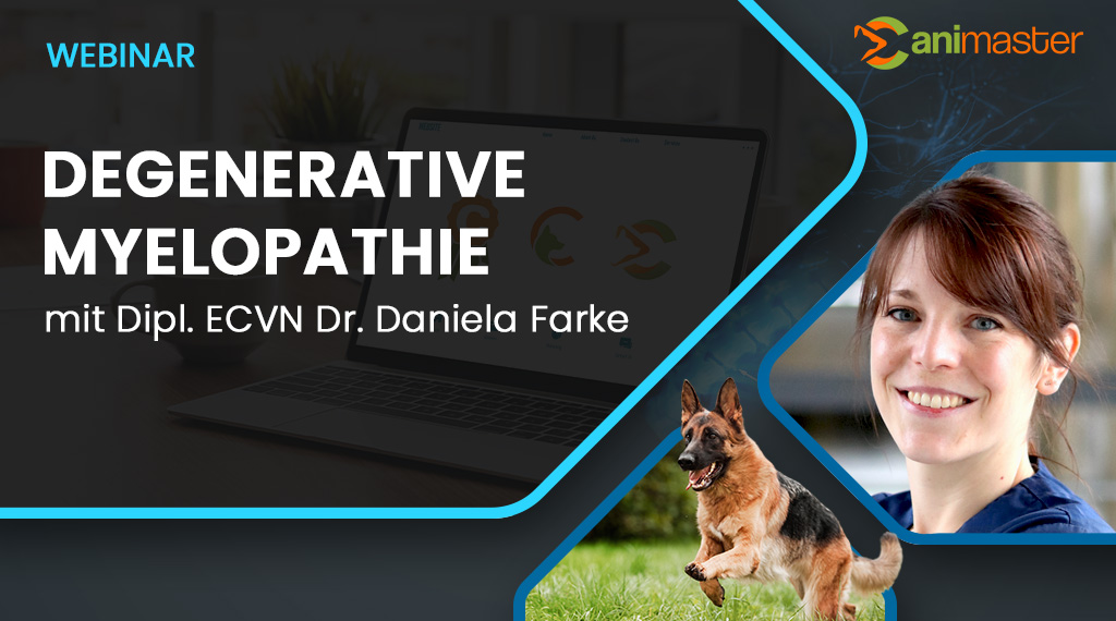 Degenerative Myelopathie - Canimaster