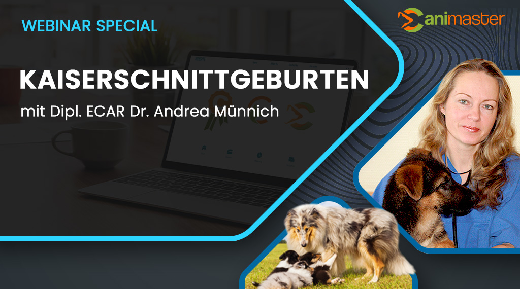 SPEZIAL Kaiserschnittgeburten - Canimaster