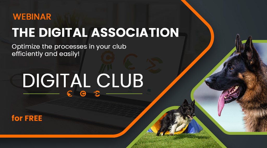 THE DIGITAL CLUB (english) - Canimaster
