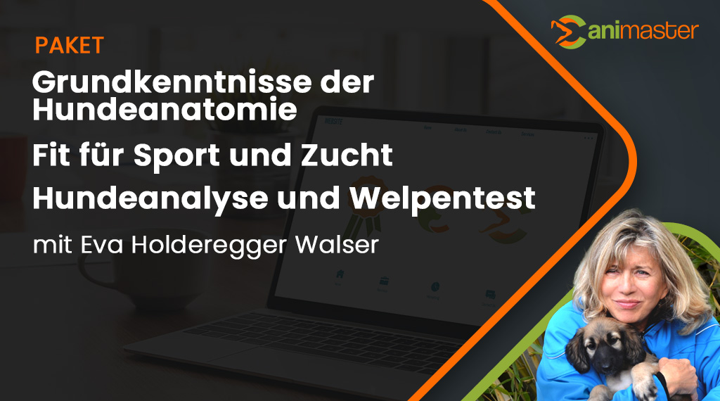 PAKET: Hunde-Anatomie - Canimaster